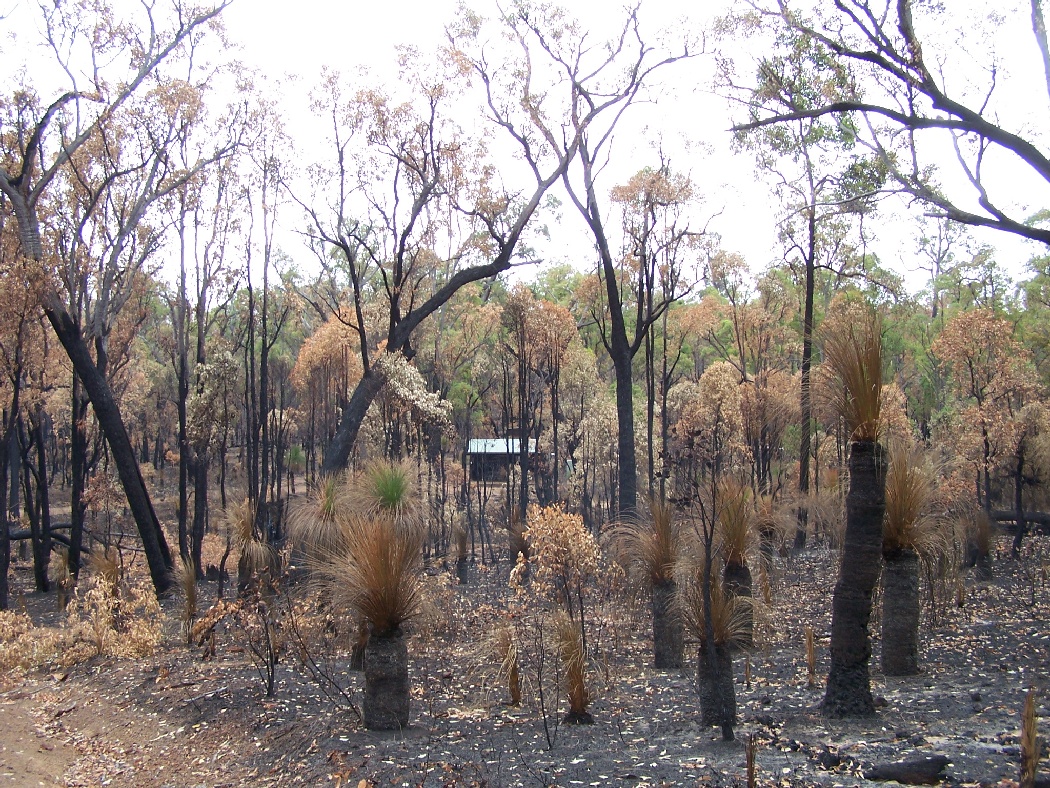 Canning Campsite survives bushfire - Bibbulmun Track Foundation
